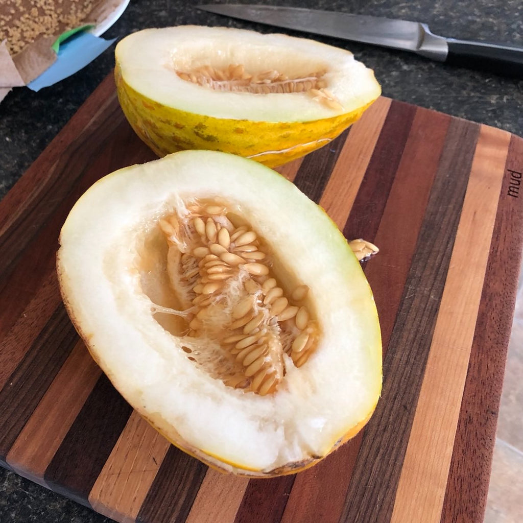 'Obi-Novot' Melon – Experimental Farm Network Seed Store