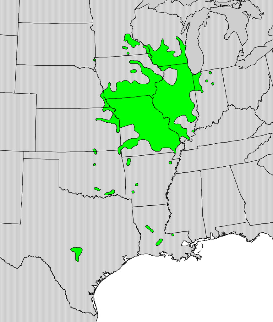 Prairie Crab Apple – Experimental Farm Network Seed Store