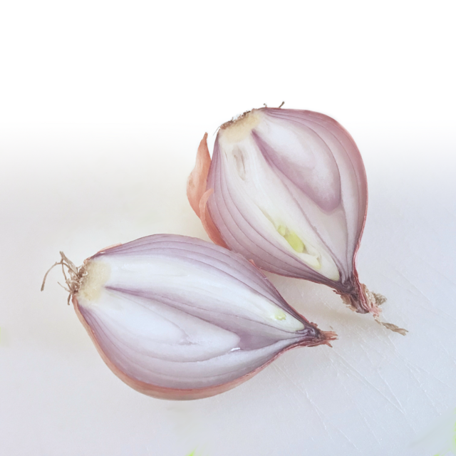 'Glacier Rose' Shallot – Experimental Farm Network Seed Store