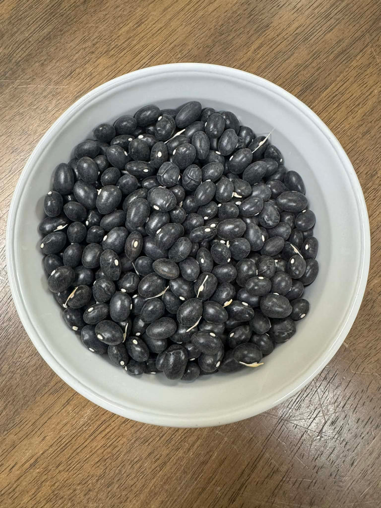 'Black Coco' Bean – Experimental Farm Network Seed Store