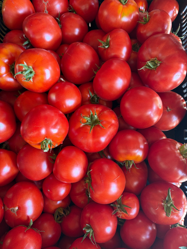 'Brandywine' Beefsteak Tomato – Experimental Farm Network Seed Store