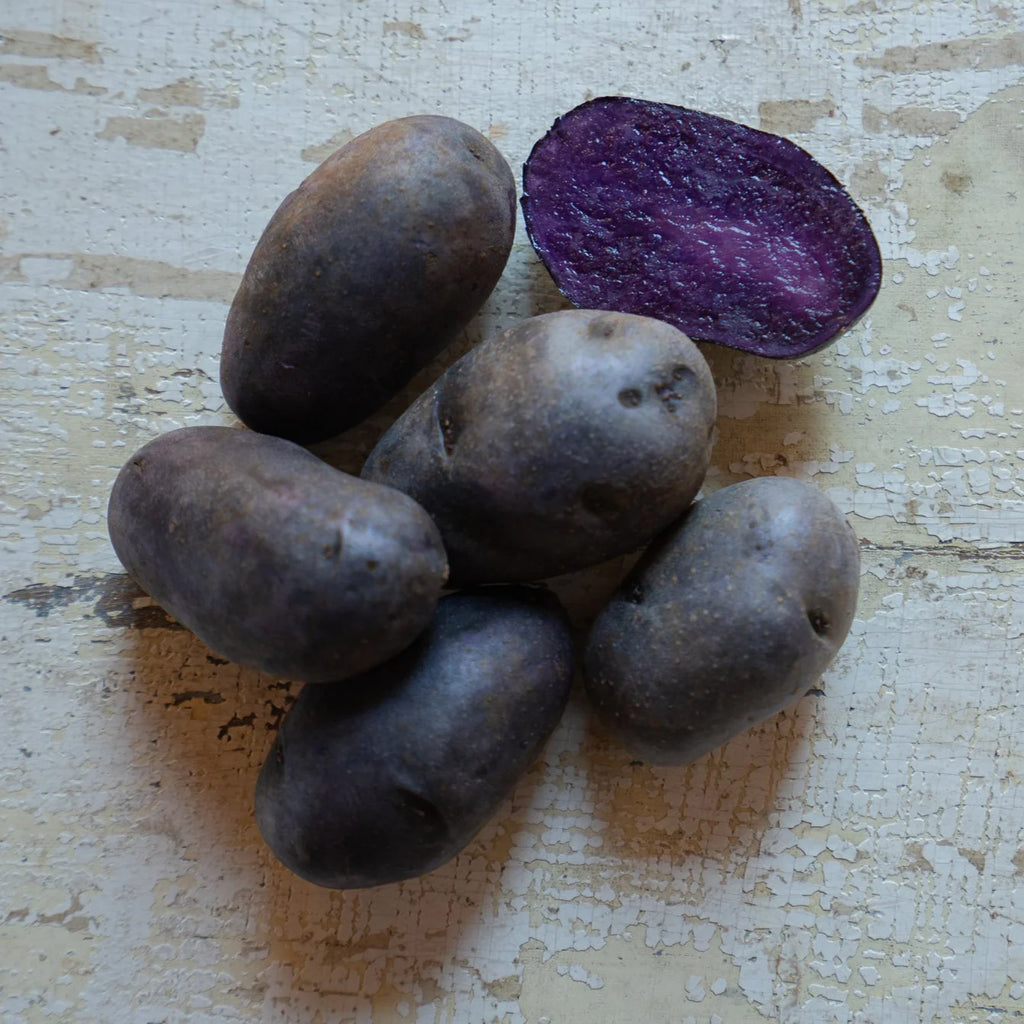 'Magic Molly' Seed Potatoes – Experimental Farm Network Seed Store