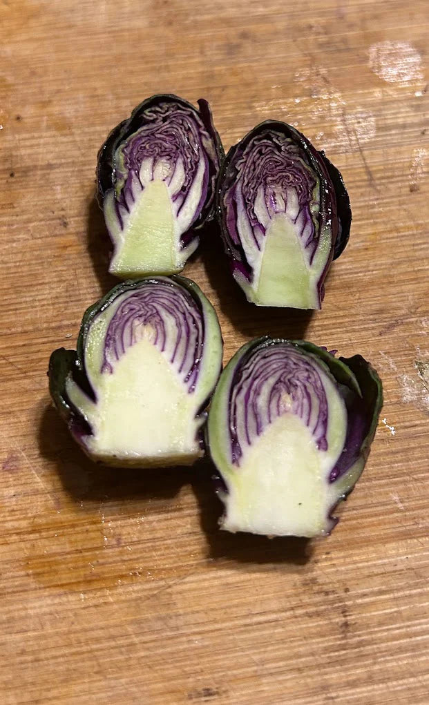 'Red Rubine' Brussels Sprouts – Experimental Farm Network Seed Store