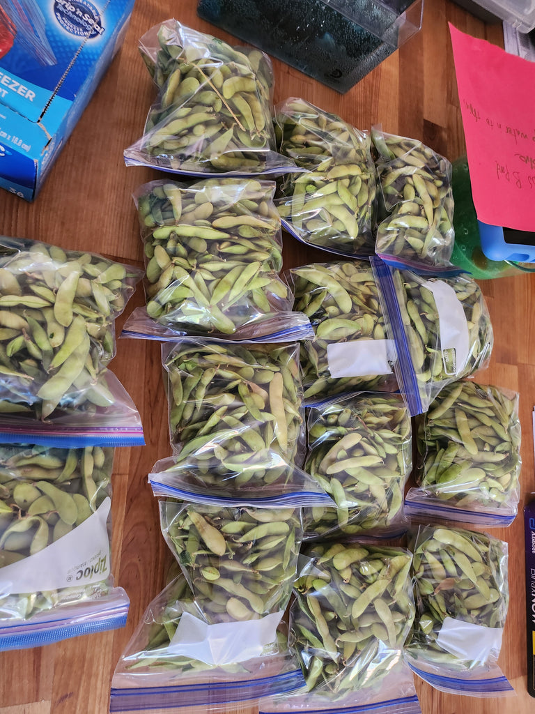 'Tankuro' Soybean (Edamame) – Experimental Farm Network Seed Store