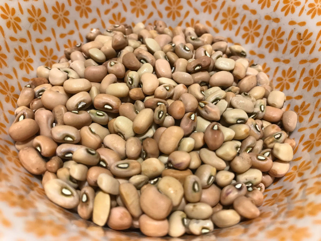 'Azerbaijan Landrace' African Pea – Experimental Farm Network Seed Store
