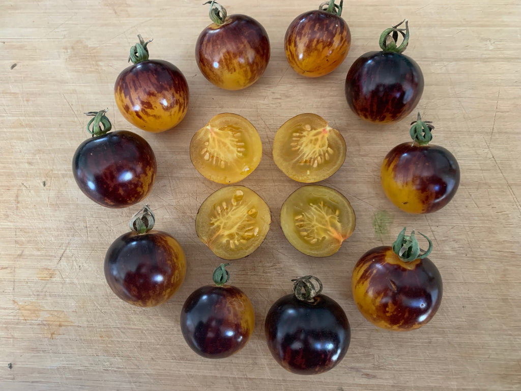 'Cosmic Purple Rain' Cherry Tomato – Experimental Farm Network Seed Store