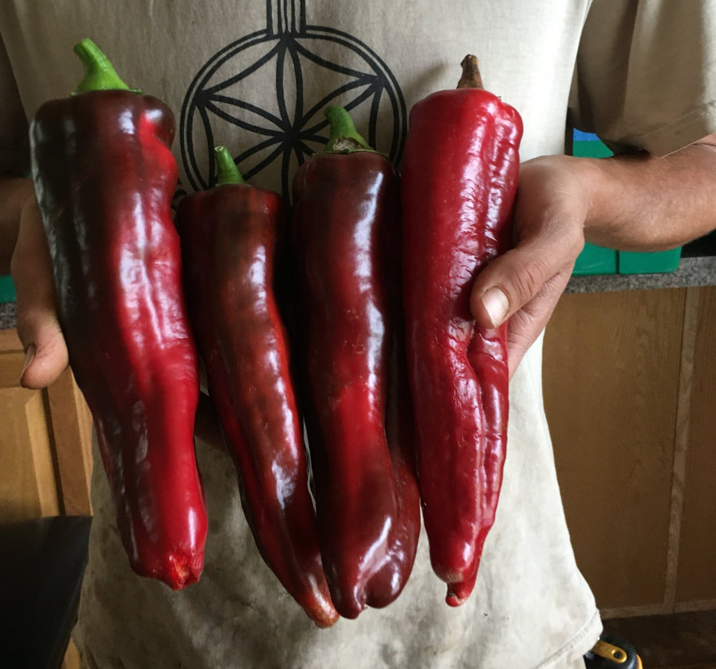 Italian Pepper Varieties