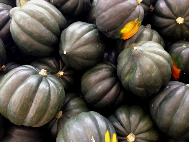 'Table Grace' Acorn Squash – Experimental Farm Network Seed Store
