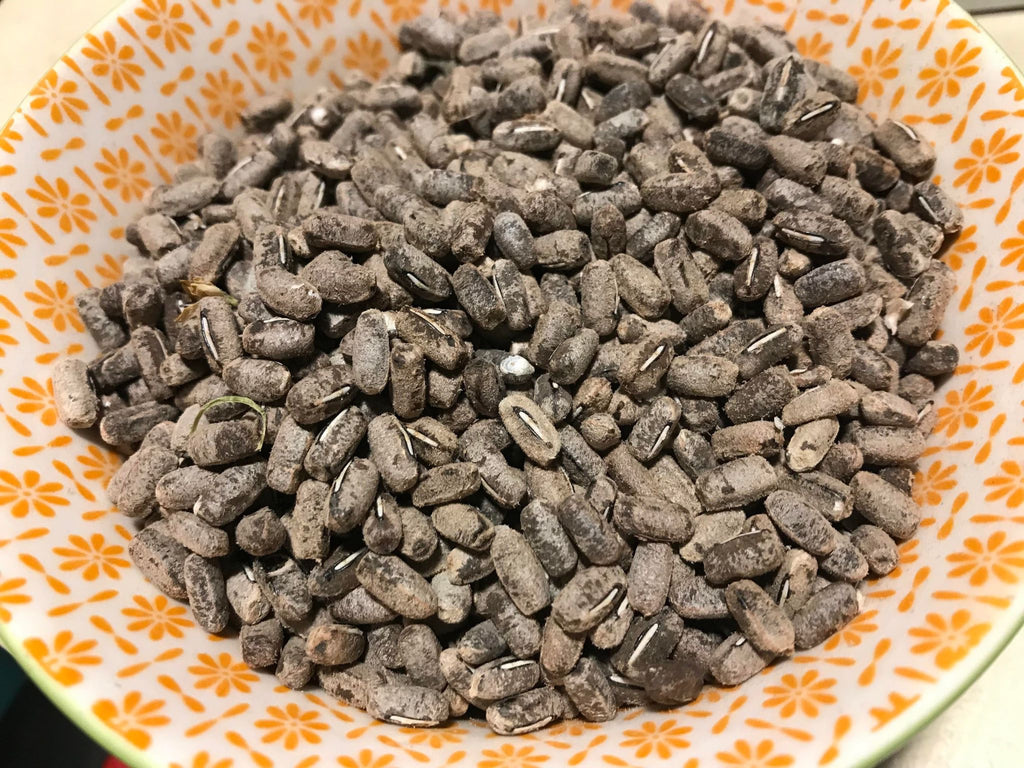 Woolly Bean Breeders Mix – Experimental Farm Network Seed Store